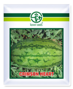 Vegetables - KAVERISEEDS