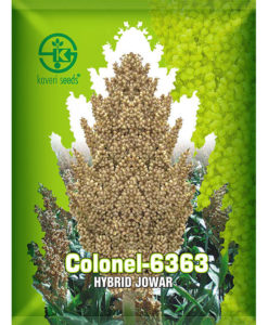 Field Crops - KAVERISEEDS