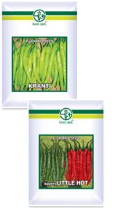 Vegetables - KAVERISEEDS